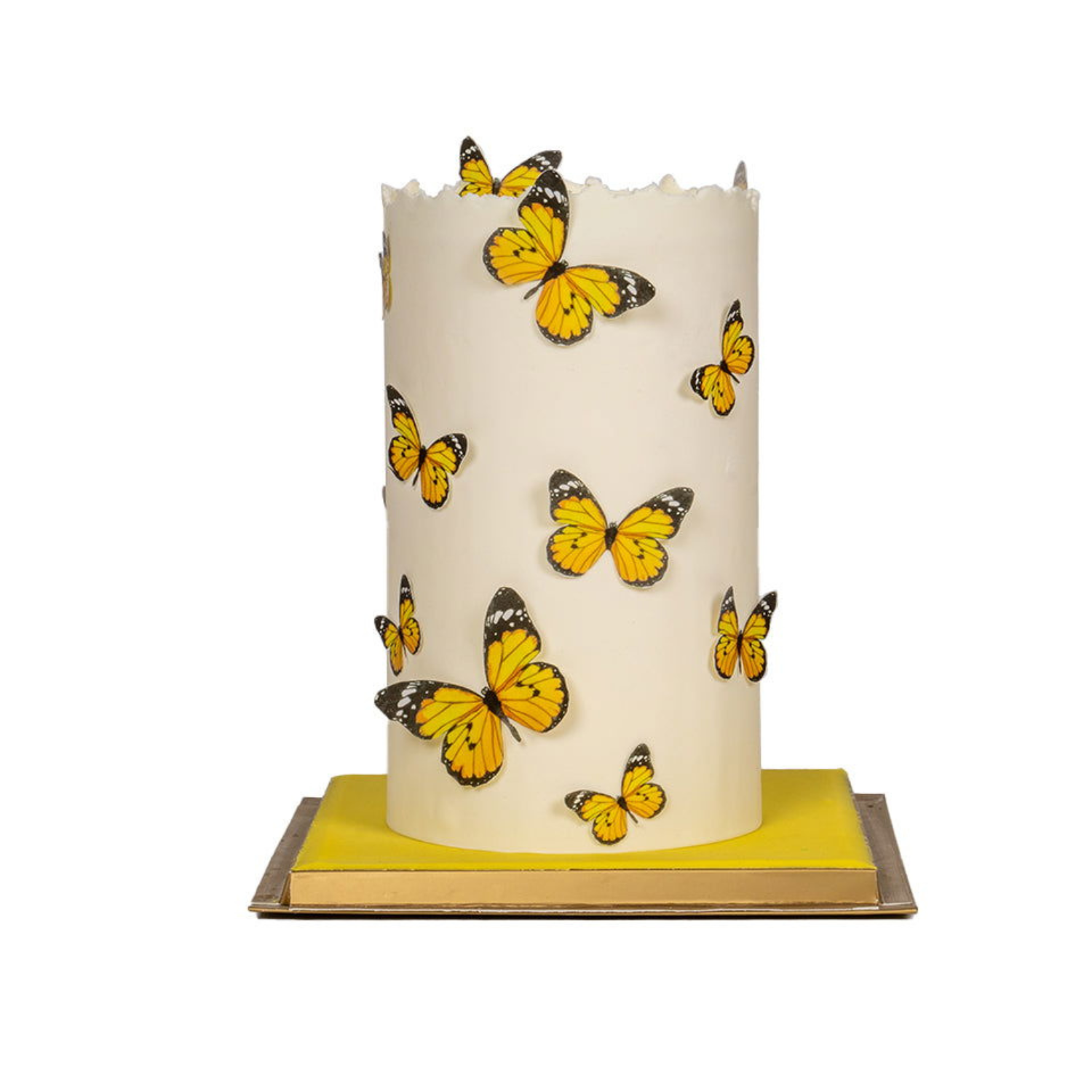 Buy Flutter Cake Online in India | SMOOR Premium Cakes